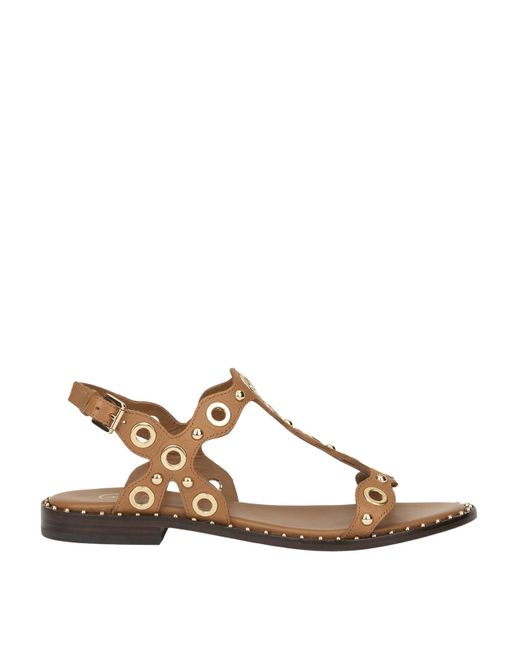 Ash Pop Sandali in Brown | Lyst