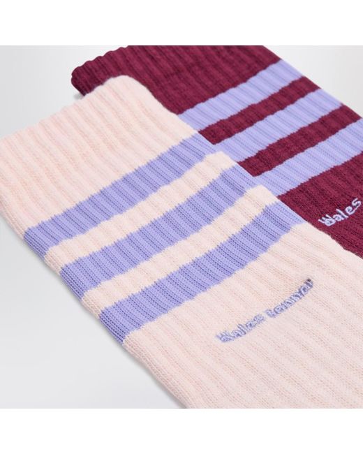 Adidas by Wales Bonner Set Of Two Cotton Blend Socks in Purple | Lyst UK