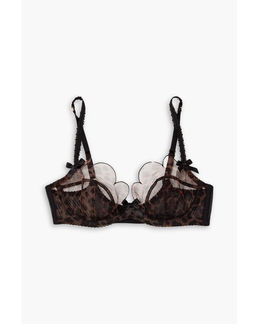 Agent Provocateur Lorna Scalloped Leopard-print Tulle Underwired Soft ...