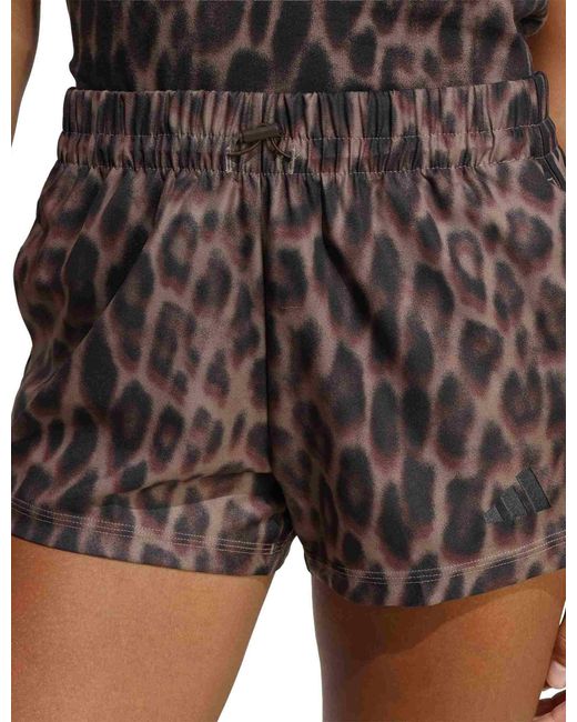 adidas Women's Seasonal Essentials Leopard Print Woven Shorts With 3 ...
