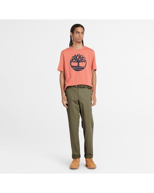 Timberland Claremont Twill Chino Straight Trouser For in Green for Men ...