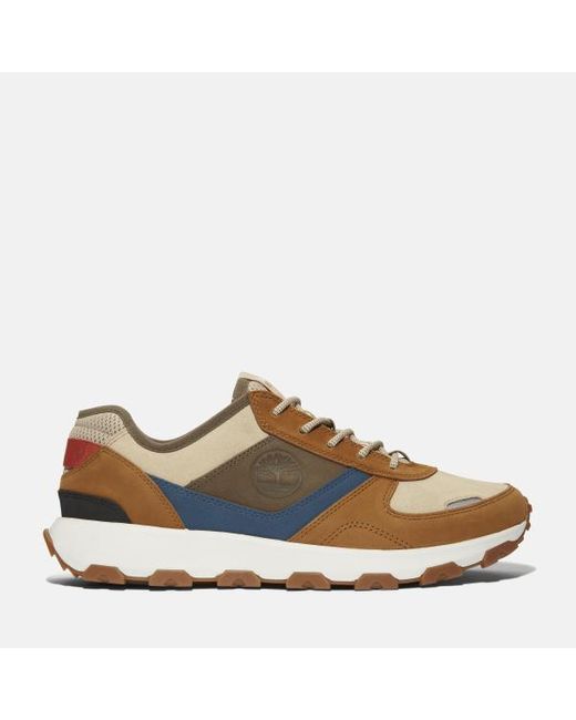 Timberland Winsor Park Low Lace-Up Trainer in Brown for Men | Lyst UK