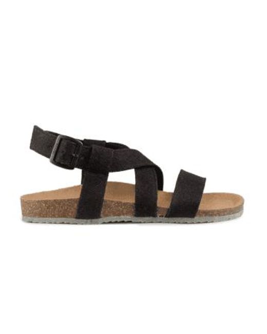 Zouri Als, Vegan in Brown | Lyst