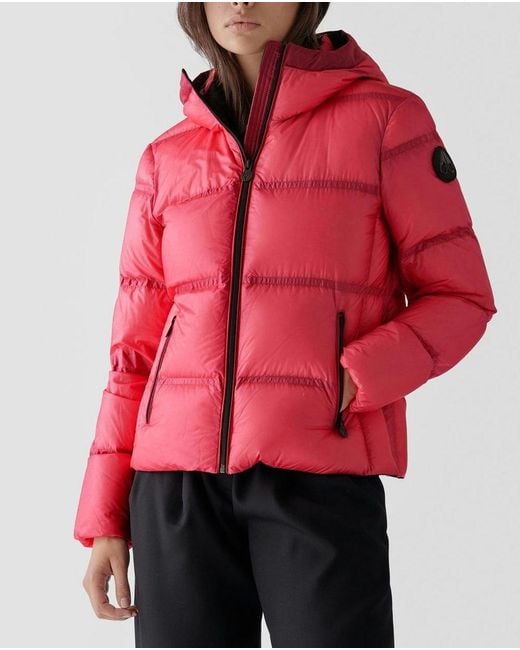 Moose Knuckles Baddeck Puffer Down Jacket in Pink | Lyst