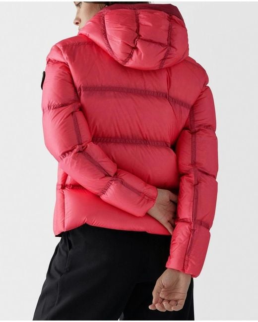 Moose Knuckles Baddeck Puffer Down Jacket in Pink | Lyst
