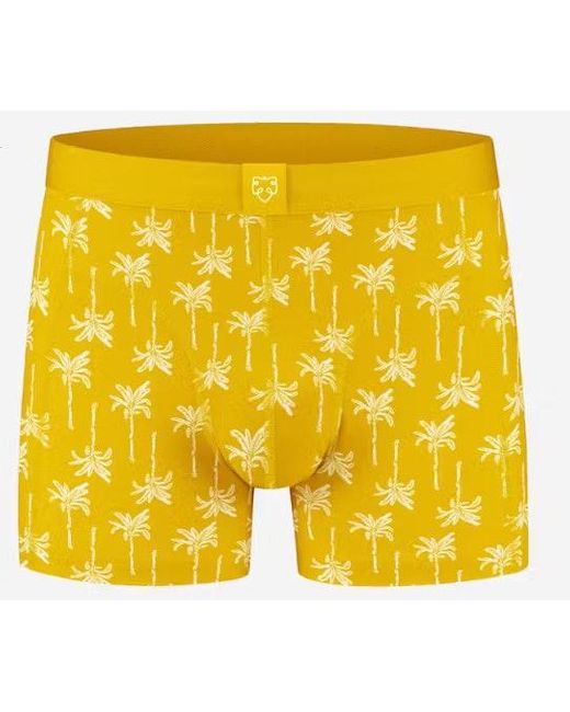 Adam Lippes Palm Trees Boxer Briefs in Yellow for Men | Lyst