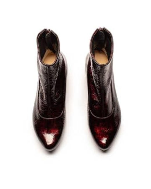 Tracey Neuls Arlinda Malbec in Brown | Lyst