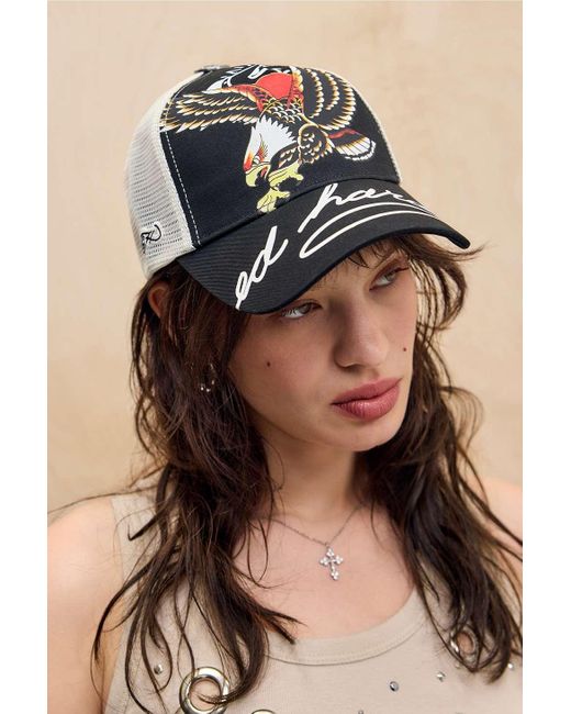 Ed Hardy Soaring Eagle Trucker Cap in Black | Lyst UK