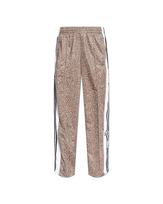 adidas Originals Animal Print Sweatpants in Natural | Lyst UK