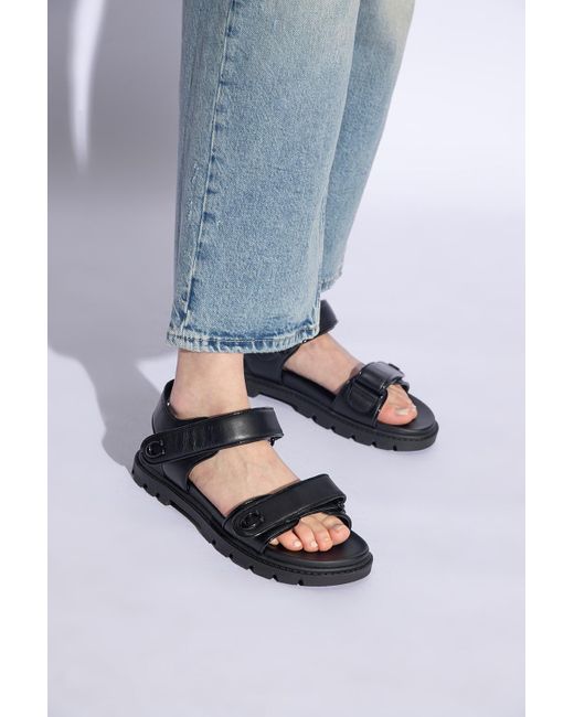 COACH 'Brynn' Sandals in Blue | Lyst