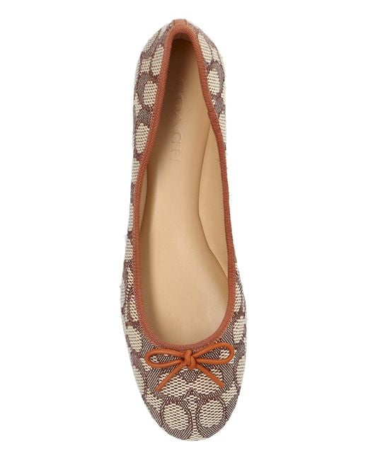 COACH Ballet Flats Abigail in Blue | Lyst