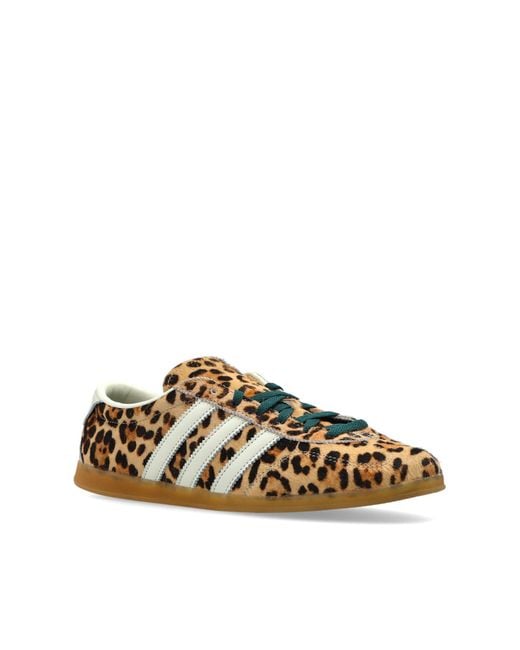 adidas Originals 'Gazelle Lo Pro W' Sports Shoes in Brown | Lyst UK