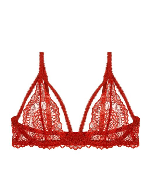Journelle lingerie store