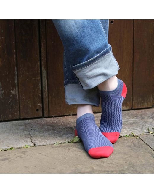 Peper Harow - Made in England Peace & Lux Taylor Trainer Socks Bundle in Blue for Men | Lyst UK