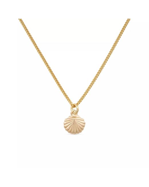 Elk & Bloom Dainty Shell Clam Necklace in Metallic | Lyst UK