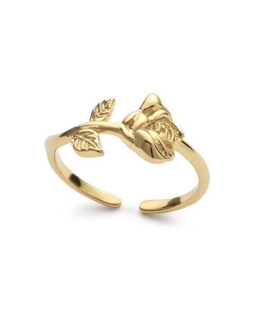 Elk & Bloom Rose Band Ring in Metallic | Lyst UK