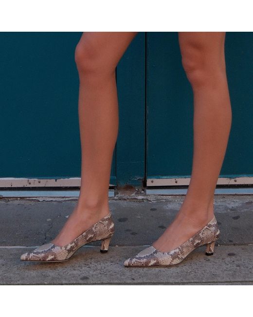 Allegra James Neutrals Nellie Snakeprint Work Evening Kitten Heel Pump ...