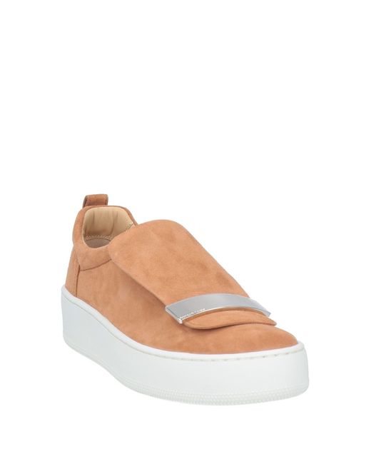 Sergio Rossi Trainers in Brown | Lyst