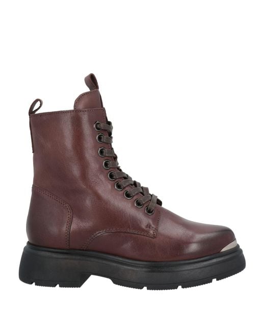 Mjus Ankle Boots Leather in Brown | Lyst