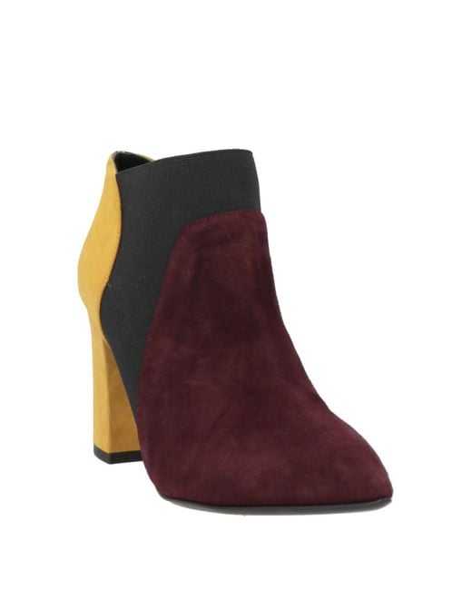 Studio Pollini Chocolate Ankle Boots Leather in Brown | Lyst