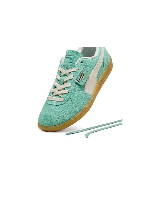 PUMA Palermo Vintage (Jade Frost/Frosted Ivory/Gum) Lace Up Casual ...