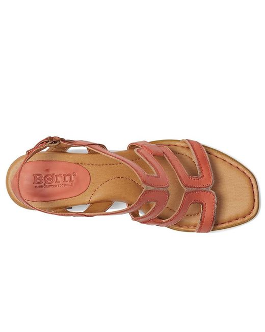 Born Sofia Sandals /Mango) 6 M (B) Leather/Rubber in Brown | Lyst