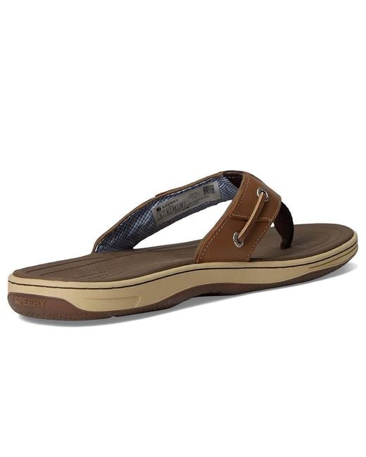 Sperry Top-Sider Baitfish Sandals 7 M (D) Leather in Brown for Men | Lyst