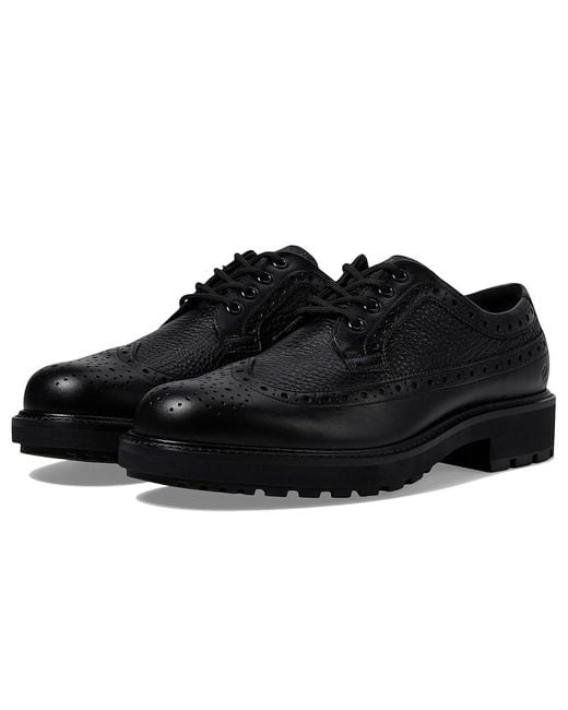 Ecco Oslo Wing Tip Oxford (Potting Soil) Lace Up Wing Tip Shoes in ...