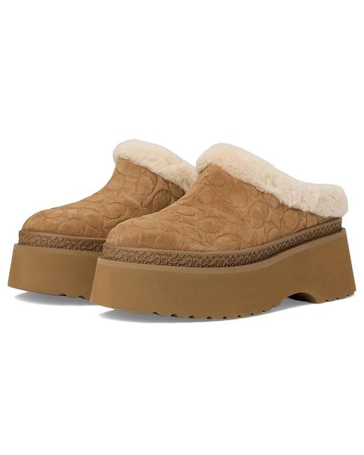 COACH Cecelia Clog in Brown | Lyst