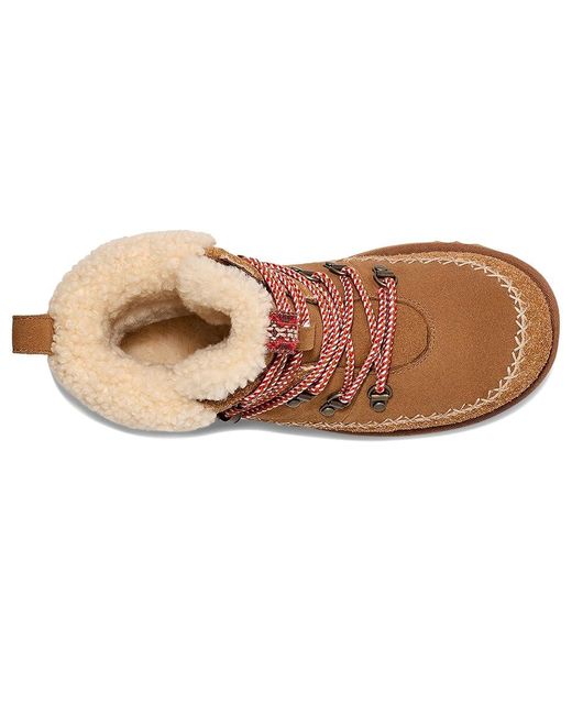 UGG Clssic Alpine Lace-Up Boots 8 B in Brown | Lyst