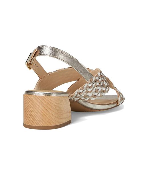 Vaneli Cadmus Sandals 9.5 M (B) Leather in Metallic | Lyst