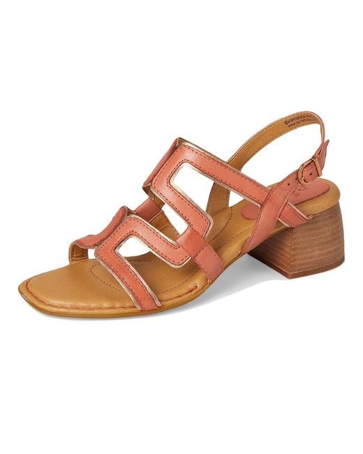 Born Sofia Sandals /Mango) 6 M (B) Leather/Rubber in Brown | Lyst