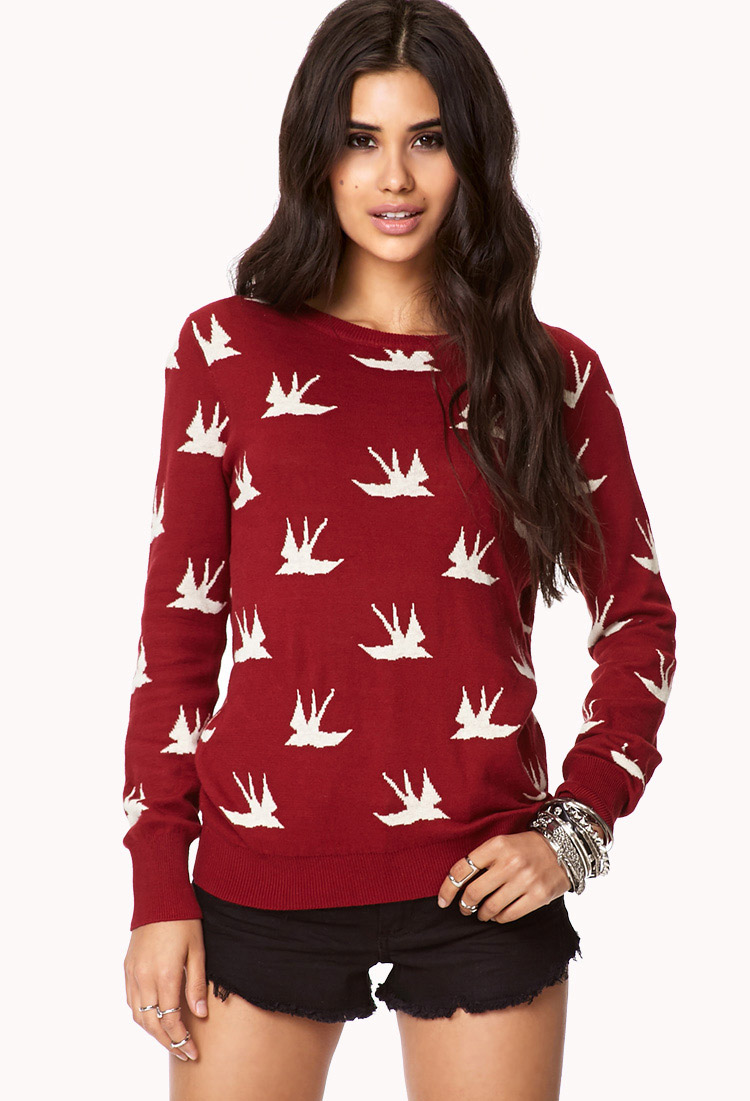 Bird Sweater For Birds Pictures