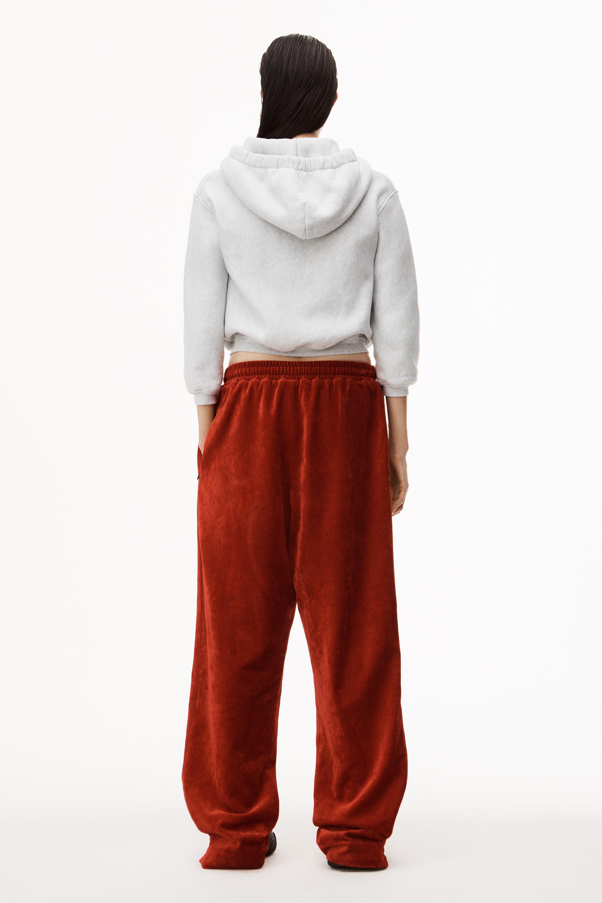 Alexander Wang Apple Logo Shrunken Hoodie In Terry in White Alexander Wang Apple Logo Shrunken Hoodie In Terry in White