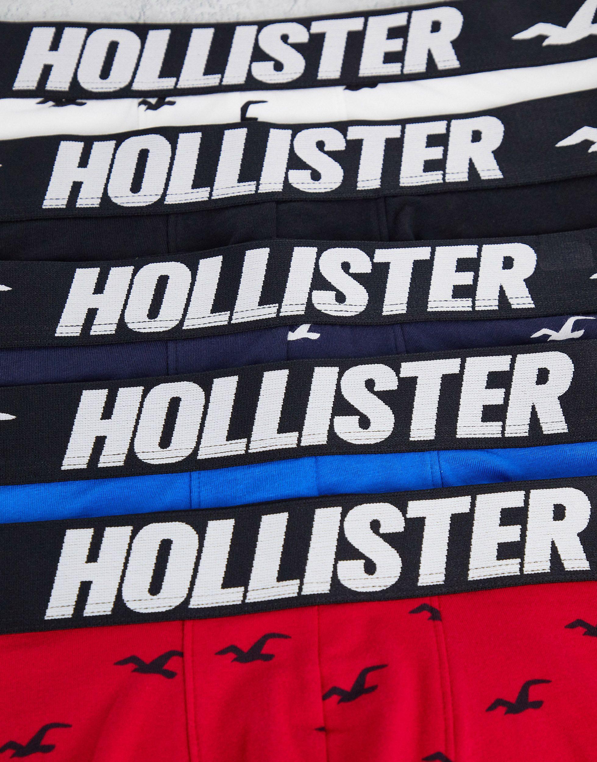 Hollister Logo