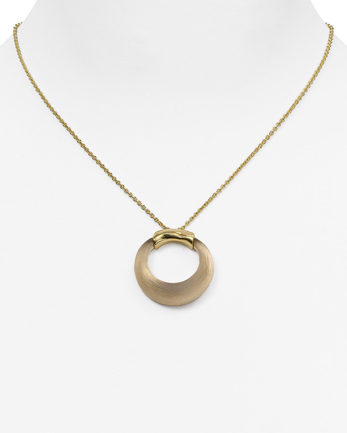 Alexis Bittar Lucite Circle Pendant Necklace, 15" in Metallic - Lyst
