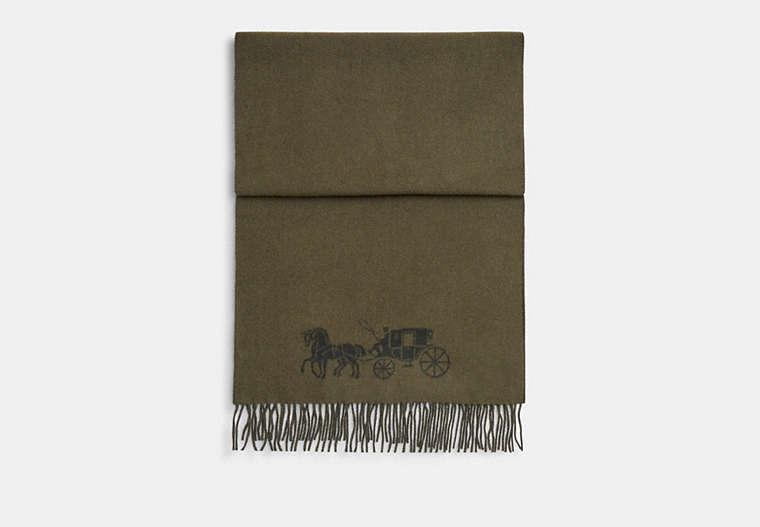 COACH Horse And Carriage Double Face Oversized Muffler in Green | Lyst