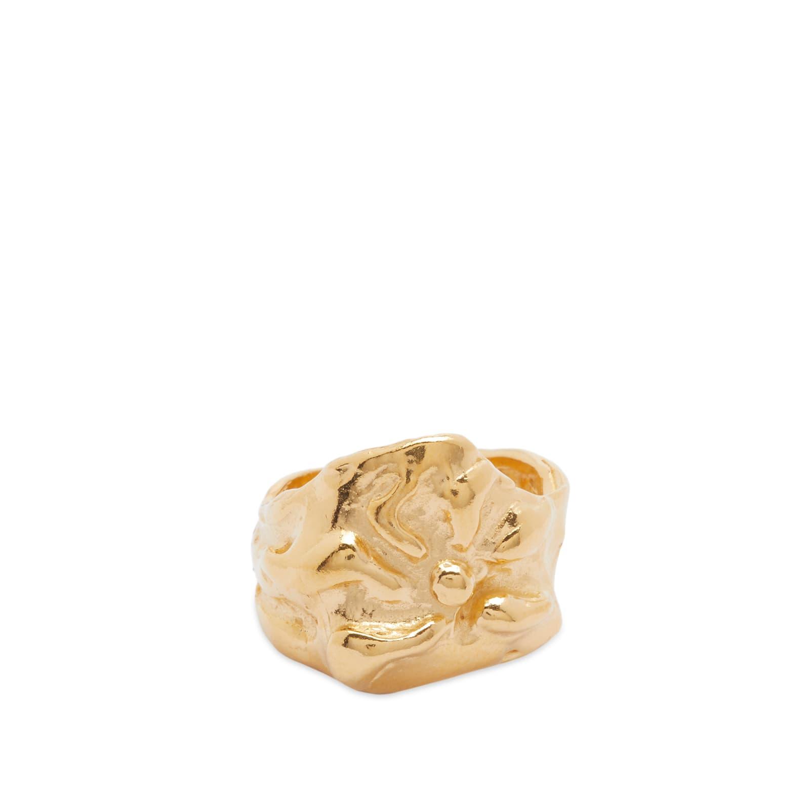 SIMUERO Sello Al Sol Ring in Metallic | Lyst