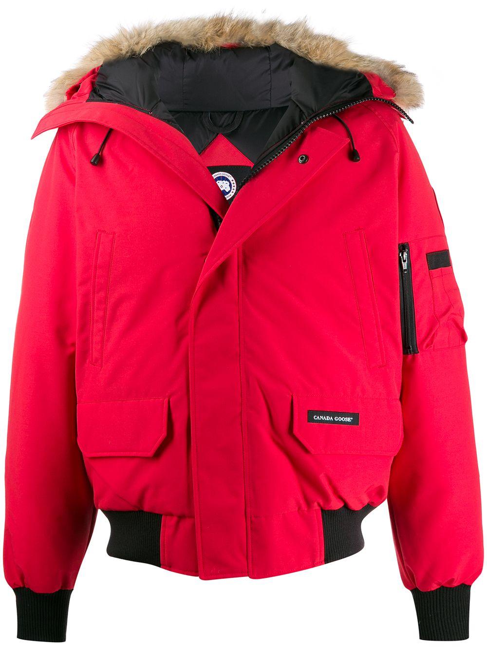 Canada Goose Fur Chilliwack Down Bomber Jacket in Red for Men - Lyst Canada Goose Fur Chilliwack Down Bomber Jacket in Red for Men - Lyst
