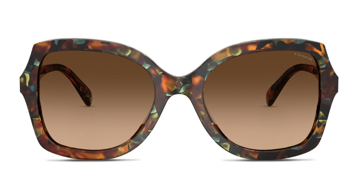 COACH Hc8410U Tortoise in Black | Lyst