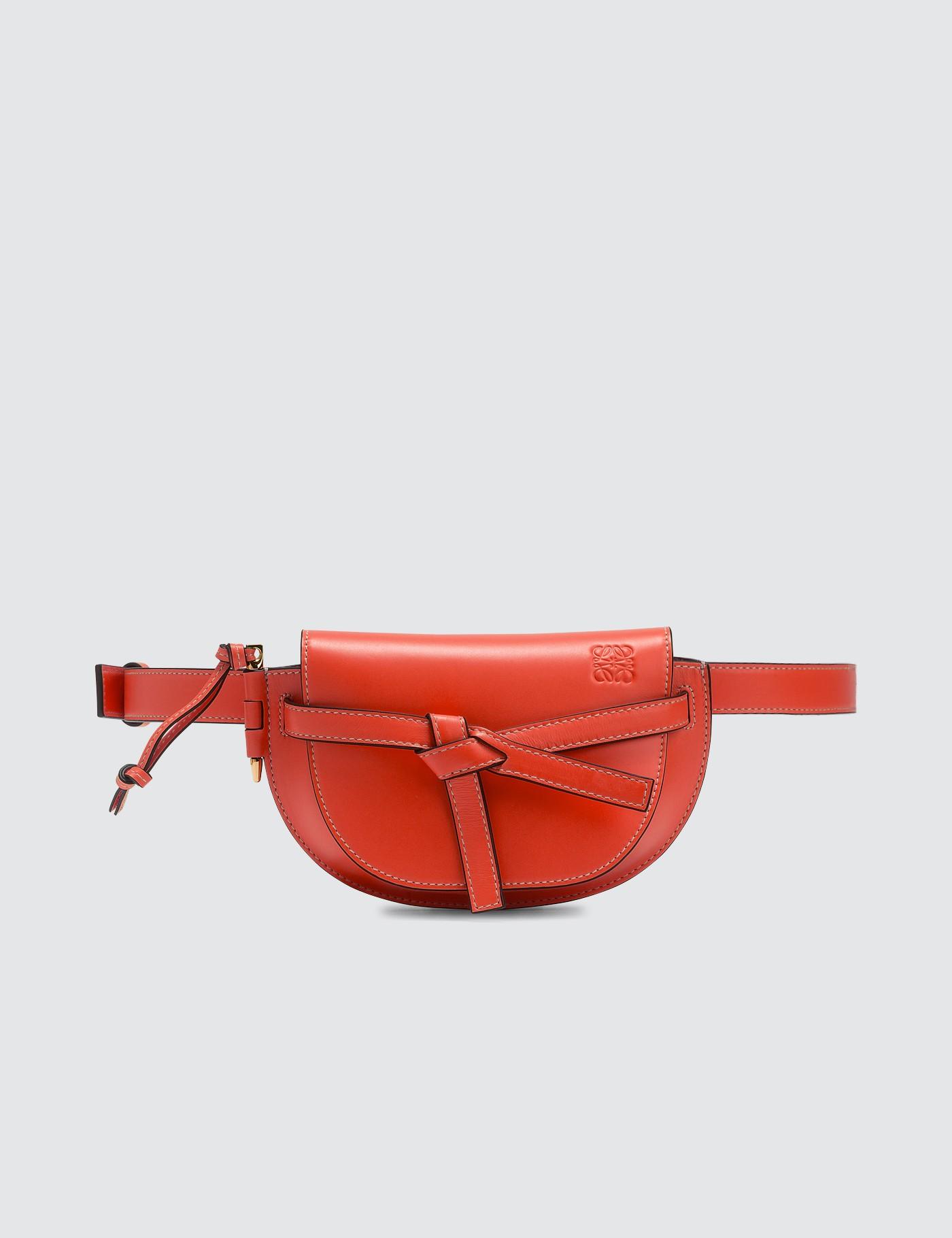 Loewe Mini Gate Calfskin Leather Belt Bag | IUCN Water
