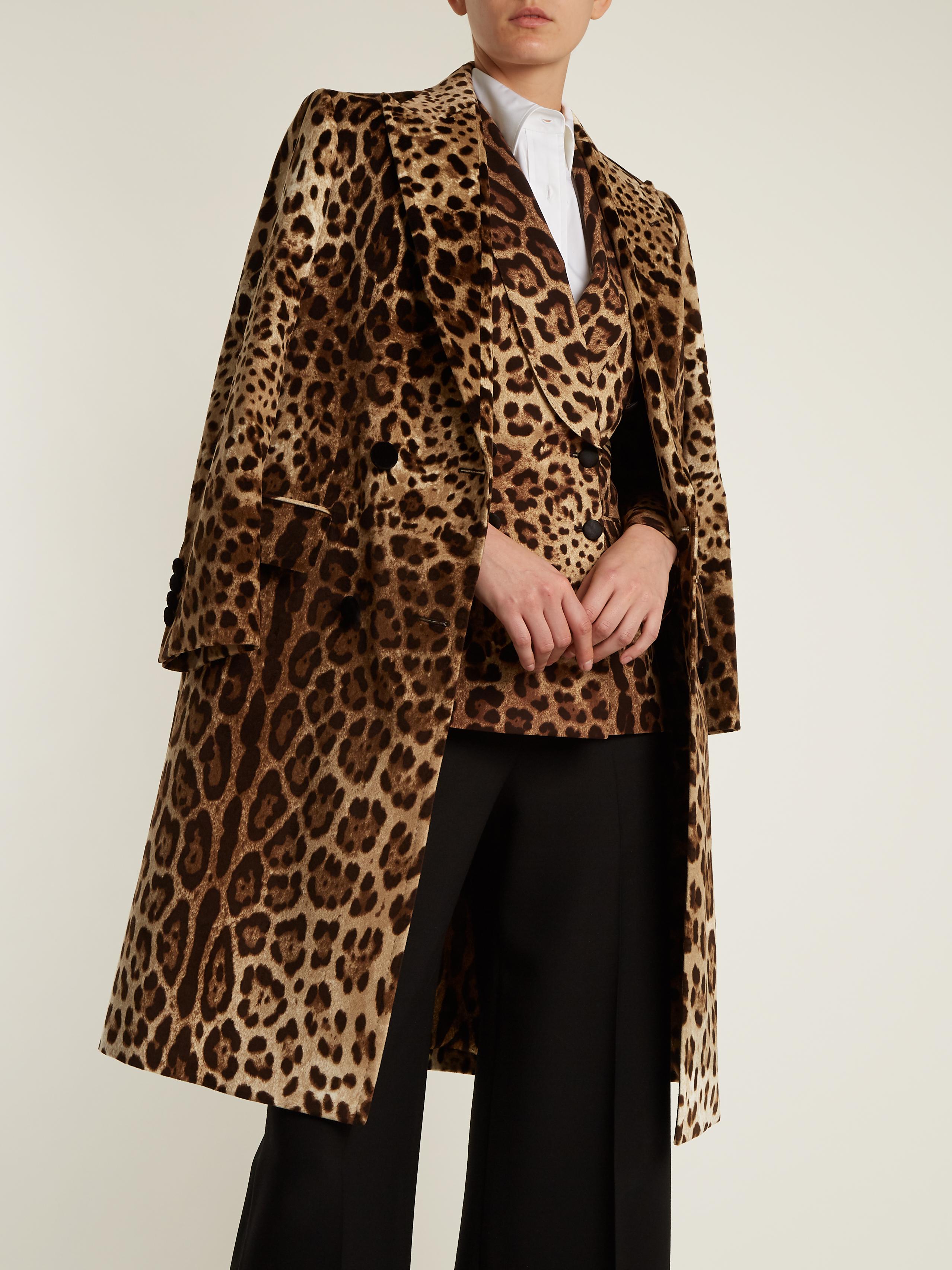 Dolce And Gabbana Double Breasted Leopard Print Velvet Coat In Brown Lyst