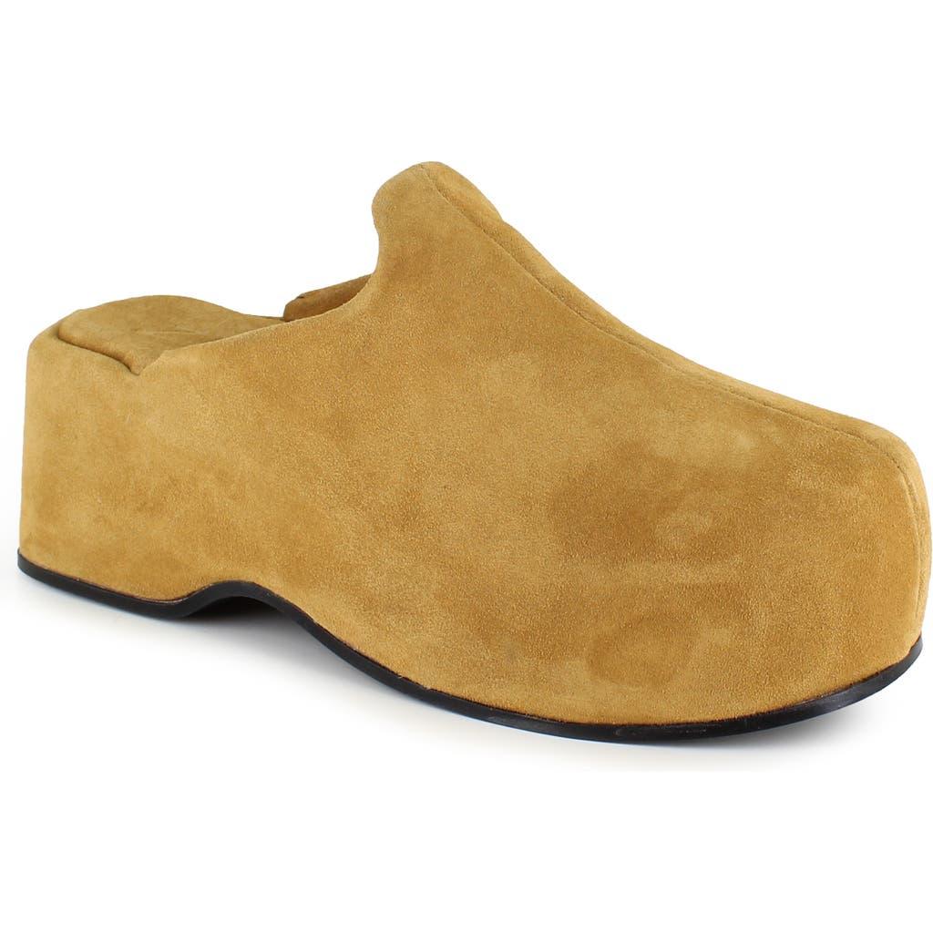 Zigi Kristen Platform Clog in Brown | Lyst