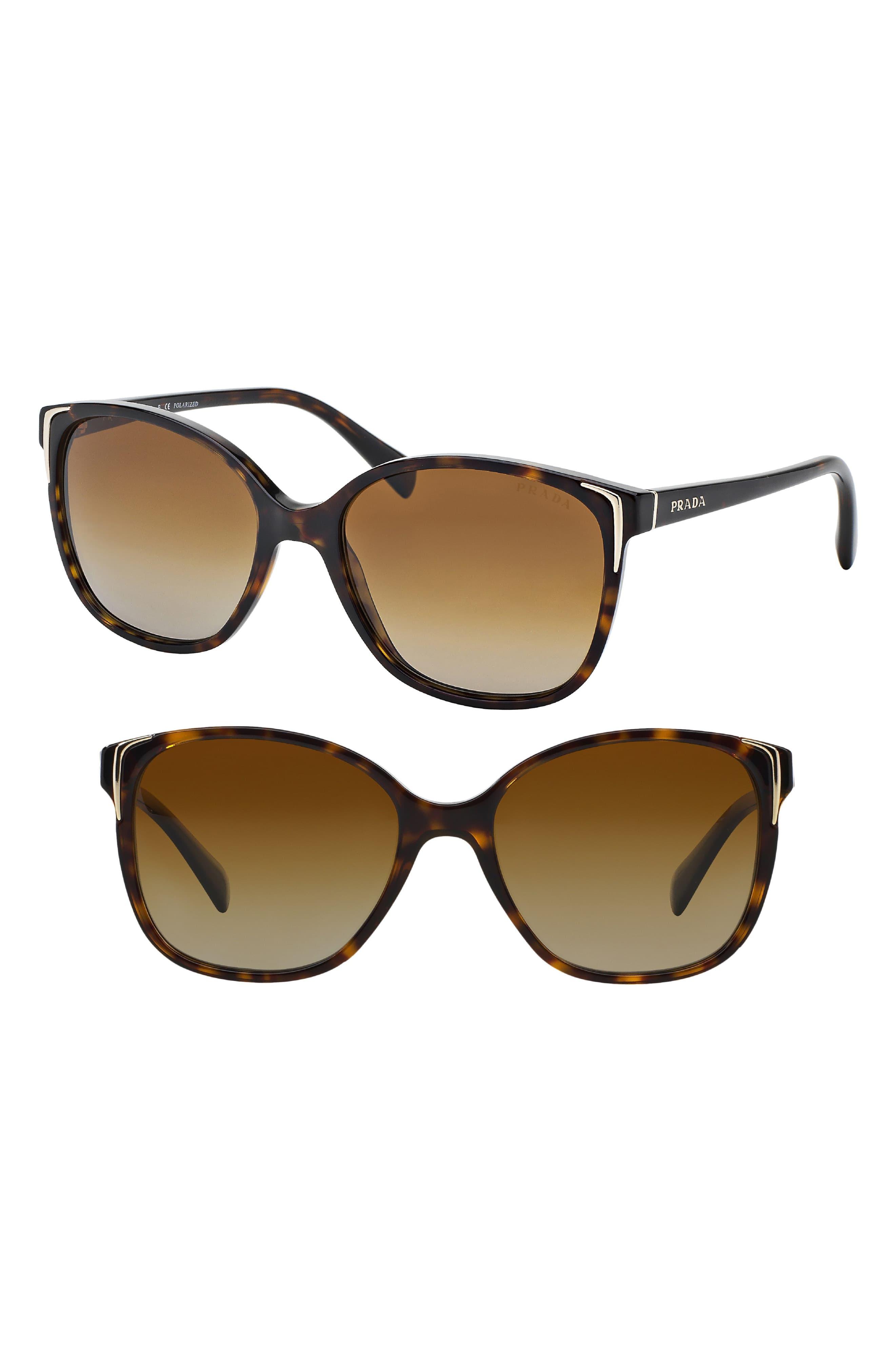 Prada 55mm Polarized Cat Eye Sunglasses Havana In Brown Lyst