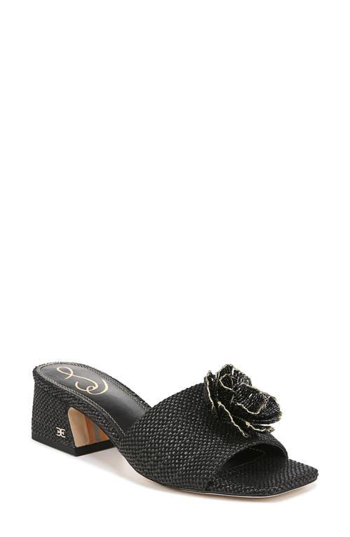 Sam Edelman Winsley Raffia Slide Sandal in Black | Lyst