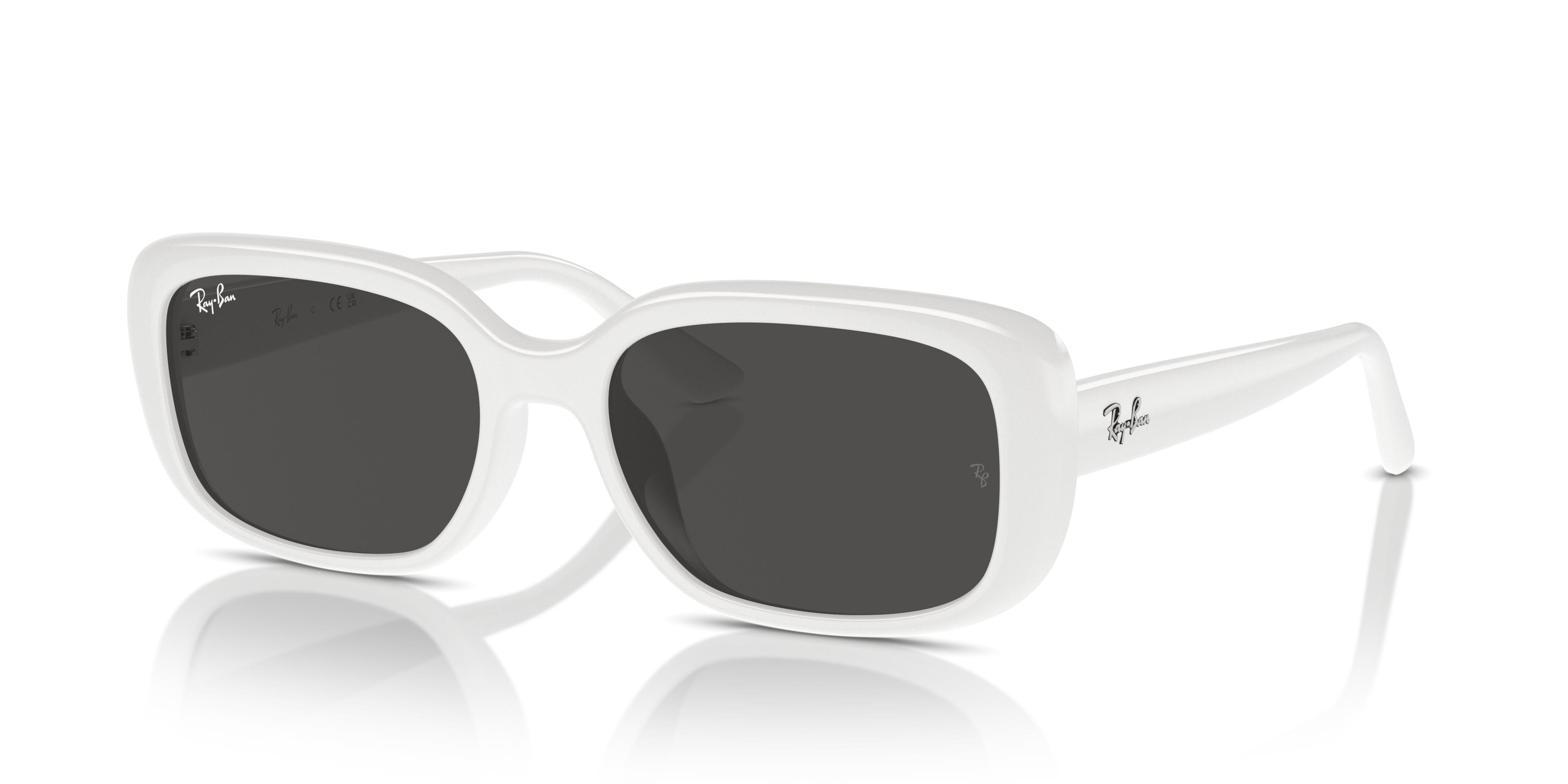 Ray-Ban Rb4421d Bio-based Sunglasses Frame Grey Lenses in Black | Lyst