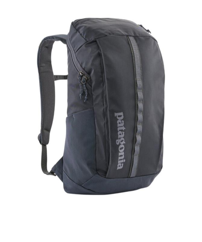Patagonia 25L Backpack in Gray | Lyst