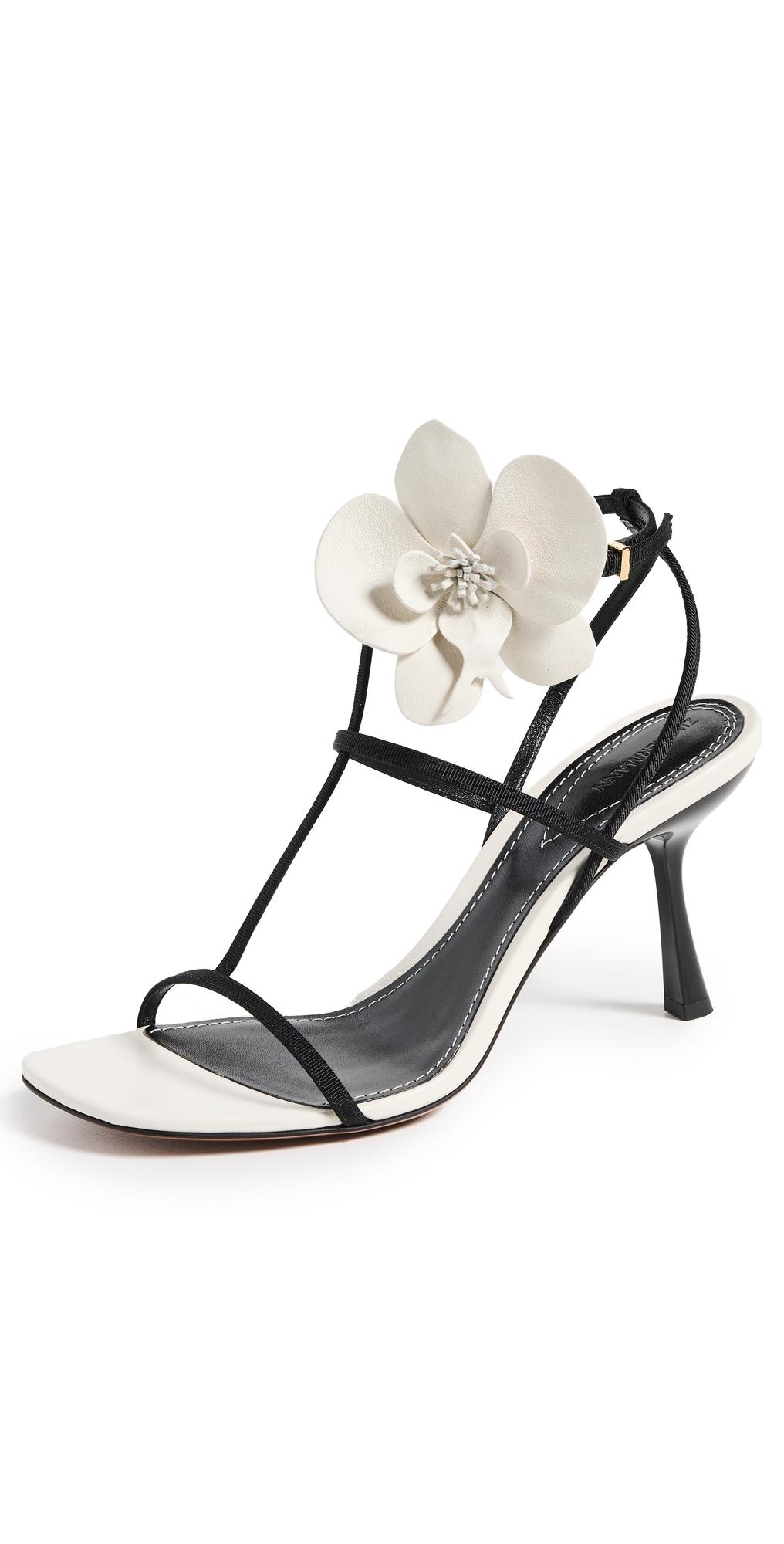 Zimmermann Orchid Sandals 85 in Black | Lyst