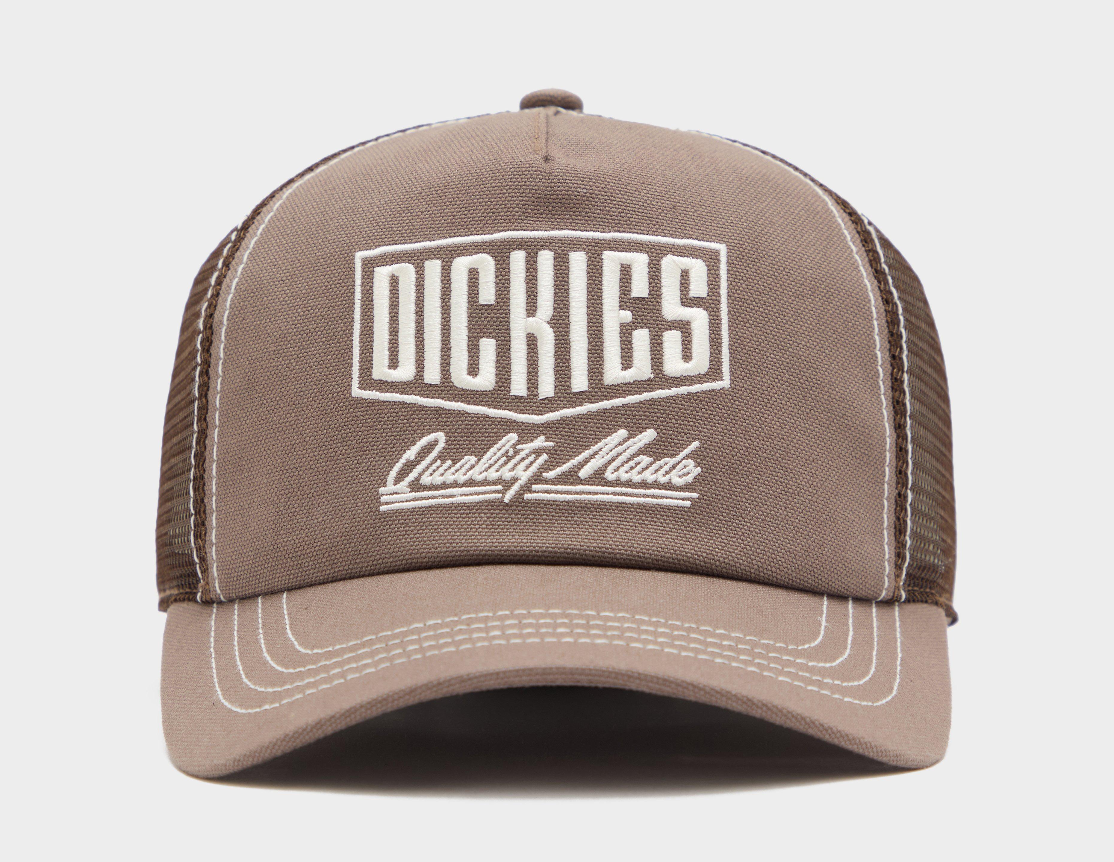 Dickies Philipsburg Cap in Grey | Lyst UK