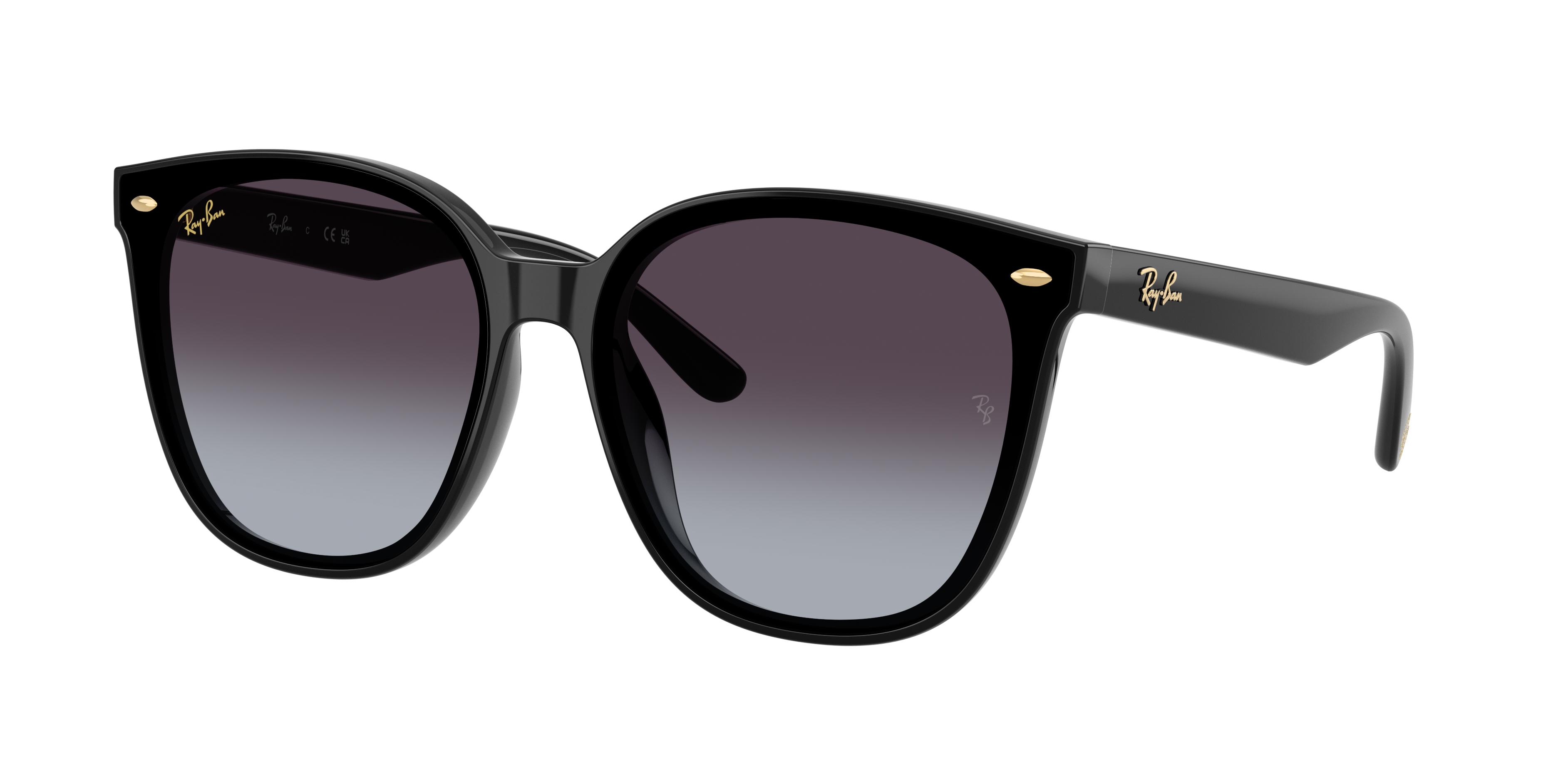 Ray-Ban Sunglass Rb4423d Year Of The Snake Edition in Black | Lyst